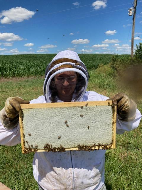 The Ramblin' Bee – The Ramblin' Bee